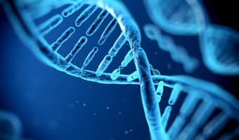 About Us - Loyal Valley Capital